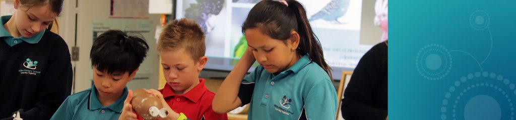 Publications & Reports – Millen Primary School
