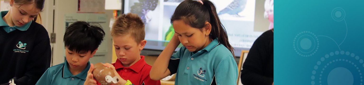 Publications & Reports – Millen Primary School