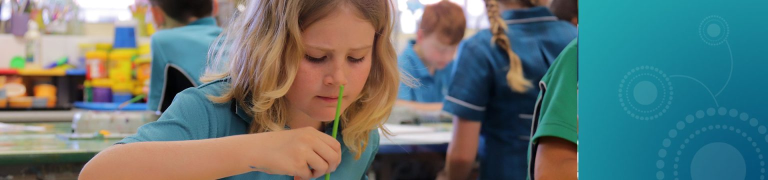 Music – Millen Primary School